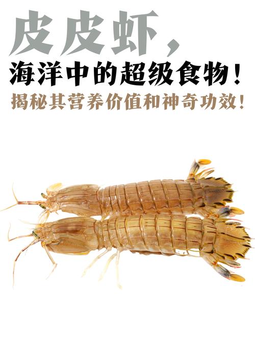 皮皮虾为何叫癌症之王图标