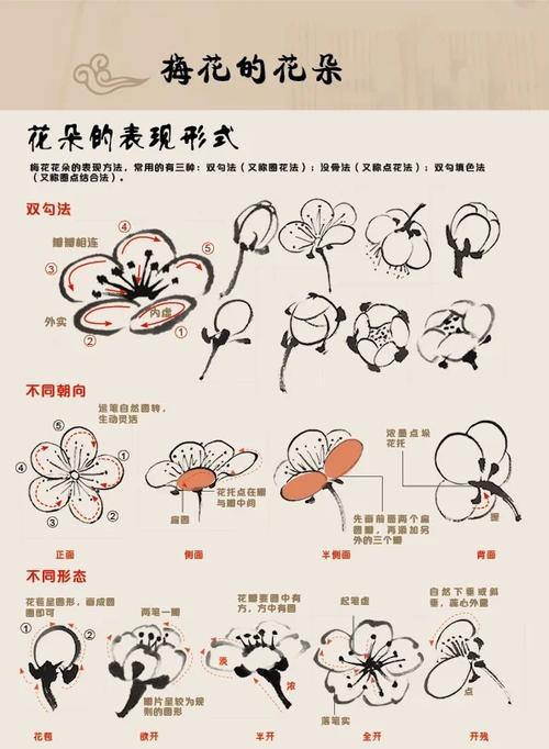 梅花视频下载的视频怎么导出图标