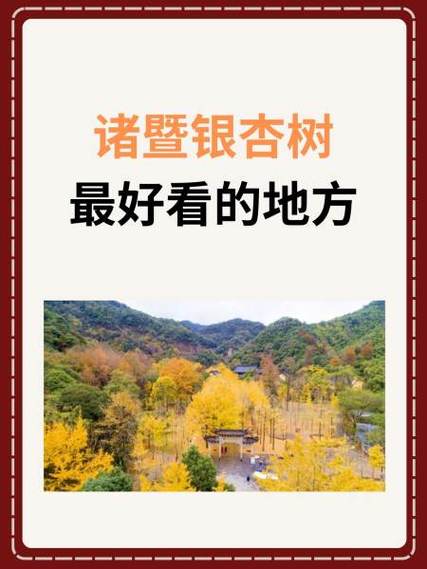 诸暨市简介图标