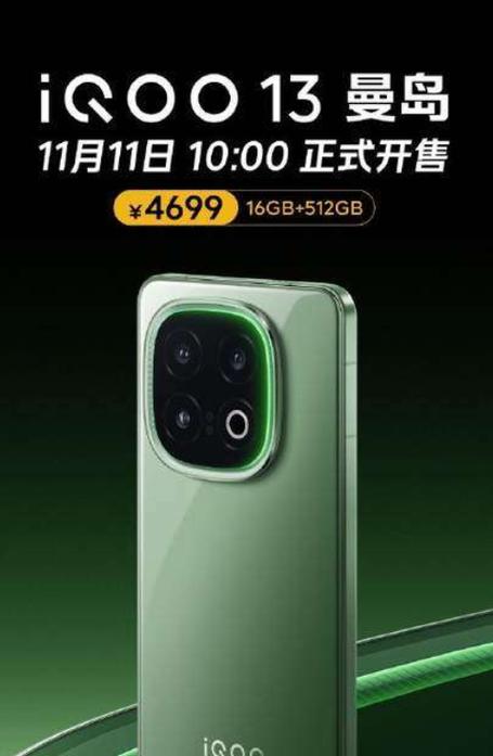 iQOO13寿命一般几年图标