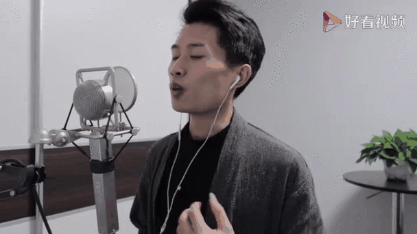 阿伟翻唱的全部歌曲图标