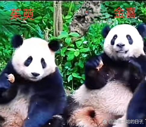 超级饲养员全集图标