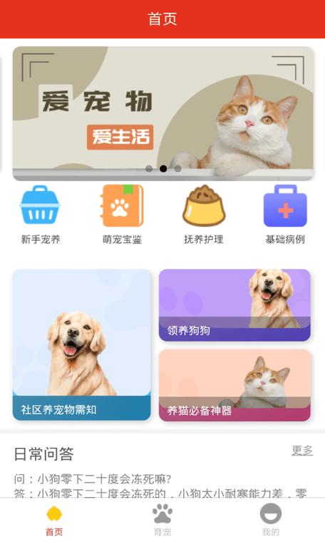 找丢失宠物用什么软件图标