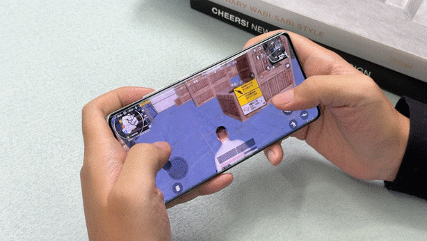 和平精英官方指定用机截图