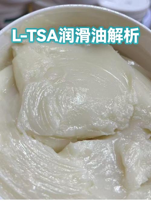 ts和tsf的区别图标