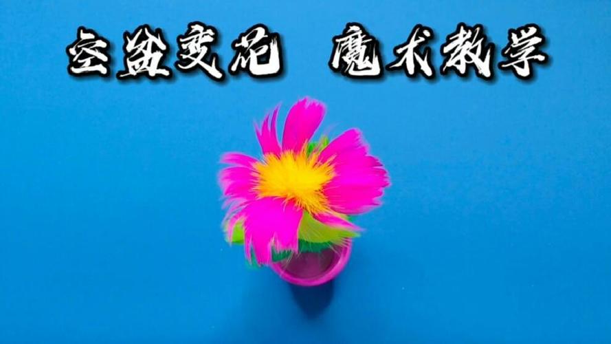 变出一朵花的魔术