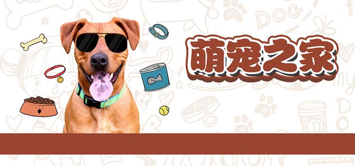 萌宠之家租号图标