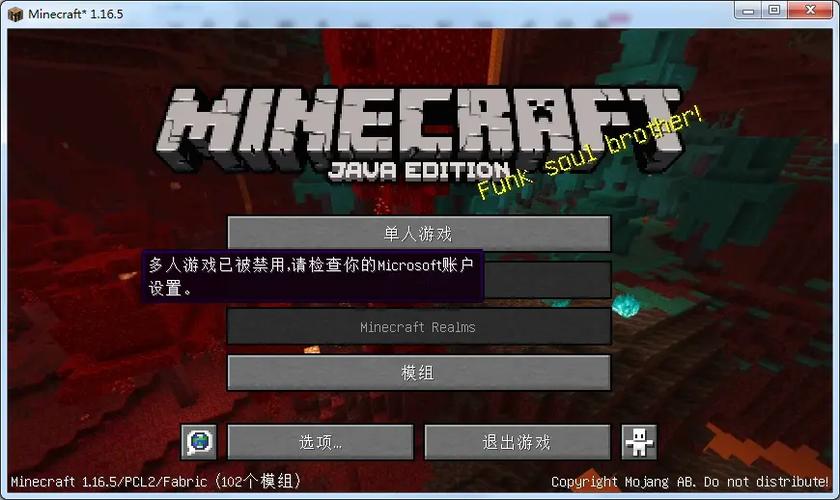 我的世界1.16.5取消高度限制图标