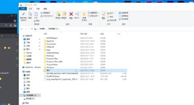 网吧森林存档文件在哪里图标