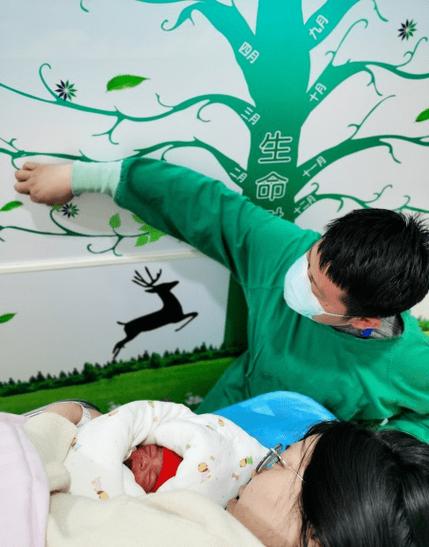 宝宝出生种什么树好截图