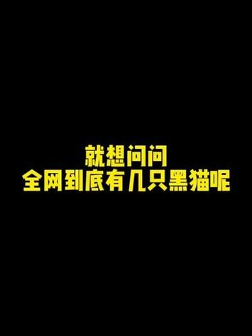黑猫脚本圈图标