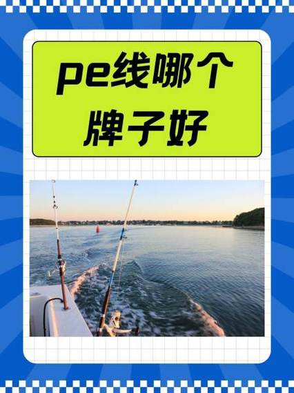 pe线最建议买三个牌子图标
