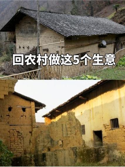 回农村做什么好没文化截图