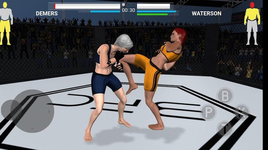 mma综合格斗完整视频截图