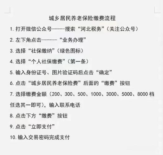 知何在河北税务交养老保险金