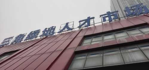 金乡生活网最新招聘图标