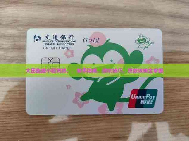 鑫盛小额贷款公司截图