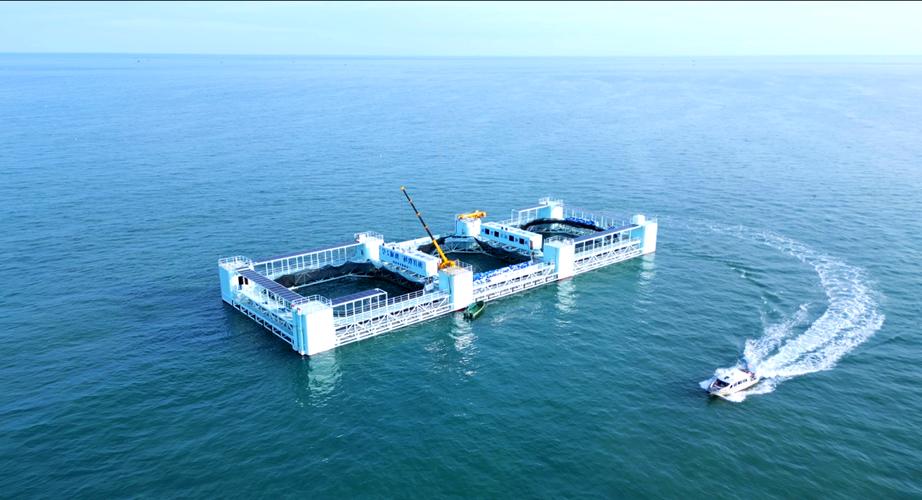 什么叫海洋牧场图标