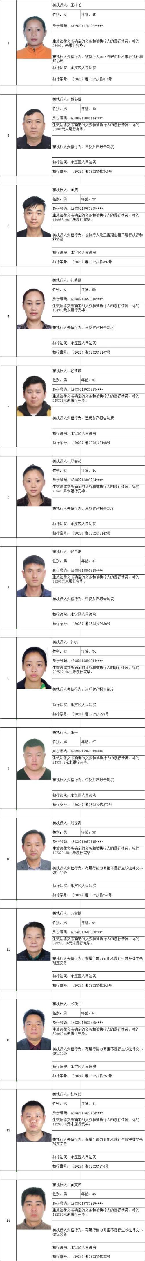 查询被执行人名单图标