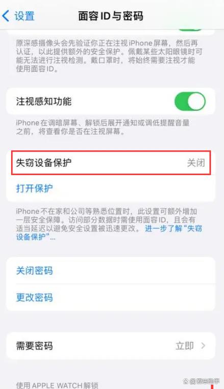 苹果13失窃保护在哪里截图