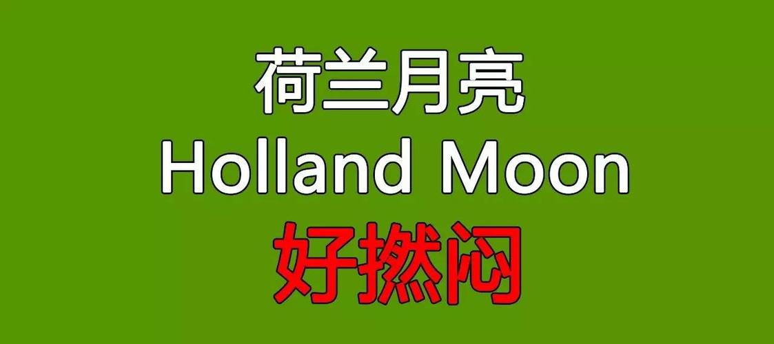 荷兰银行粤语梗
