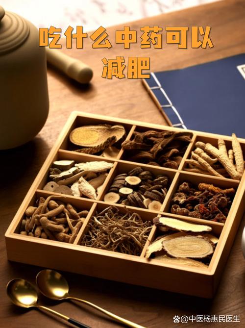 瘦天使中药溶脂图标