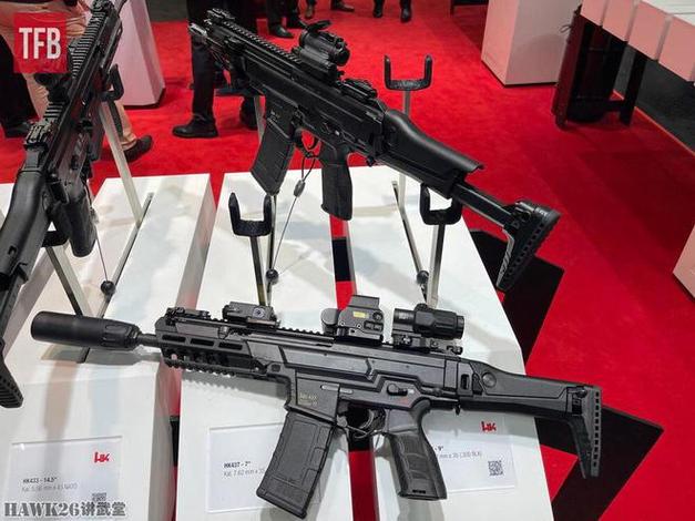 中国为何不承认HK437步枪图标