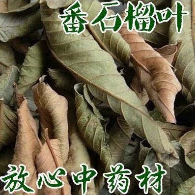 番石榴叶泡水喝的功效图标