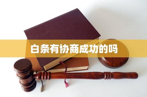 白条有协商成功的吗截图