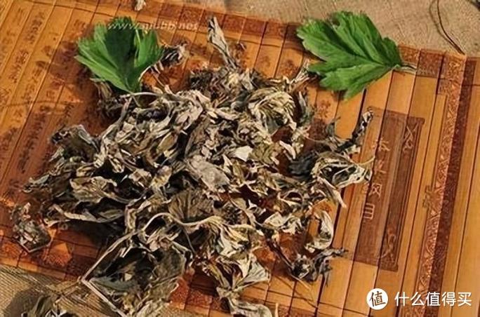 艾草杆子晒干了有用吗图标
