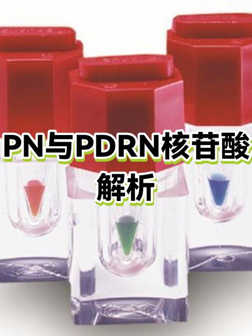 pn在男女之间代表什么