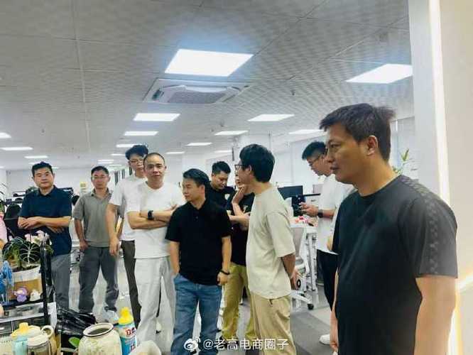 金冠团队是什么平台图标