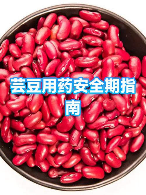 芸豆分是否正规可靠图标