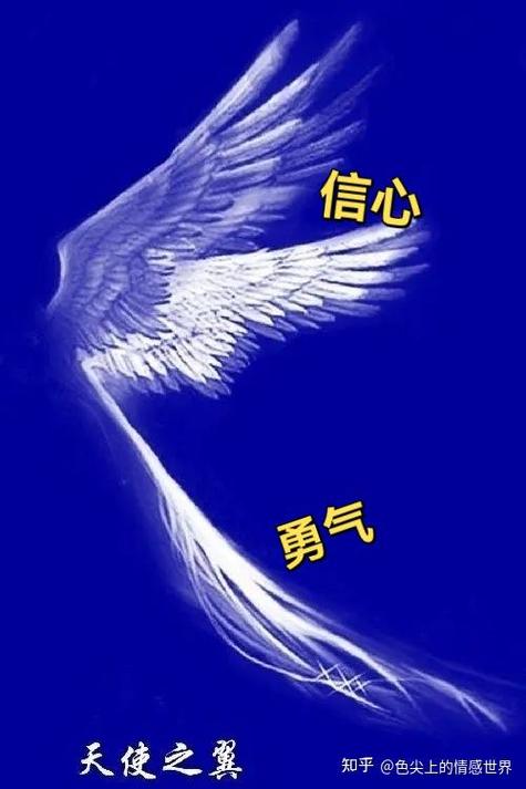 别人把你删了我却把他置顶了图标