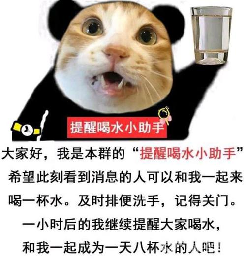 喝水管家提醒图标