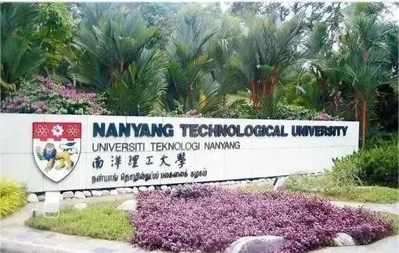 南洋理工本科申请条件图标