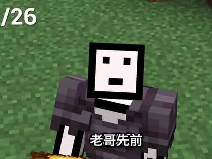 我的世界白皮肝帝图标