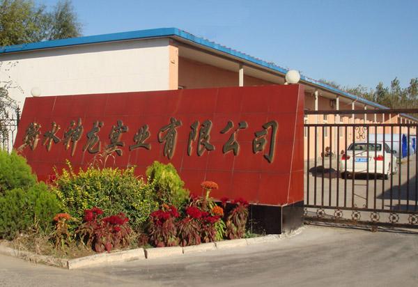 神龙实业股份有限公司图标