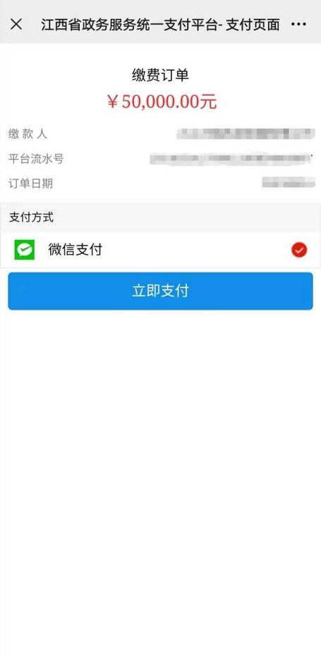 非税缴款统一支付平台图标