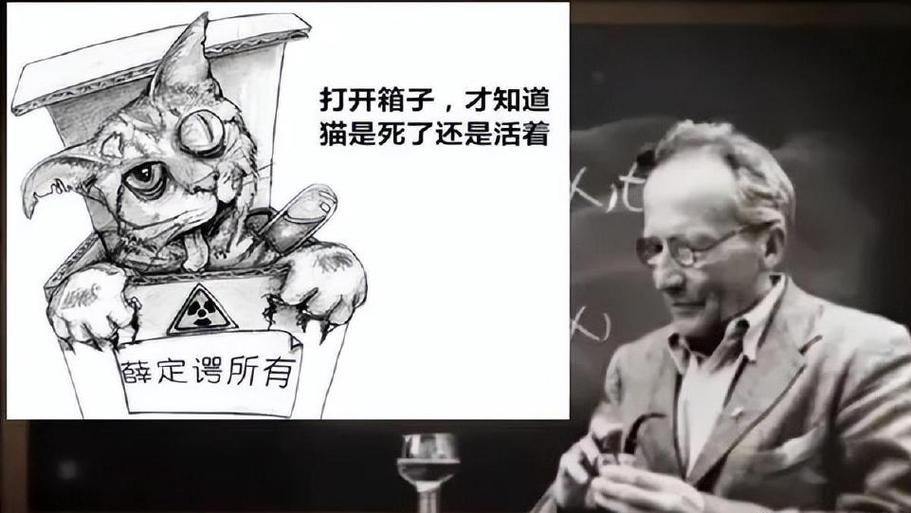 活下去开箱子图标
