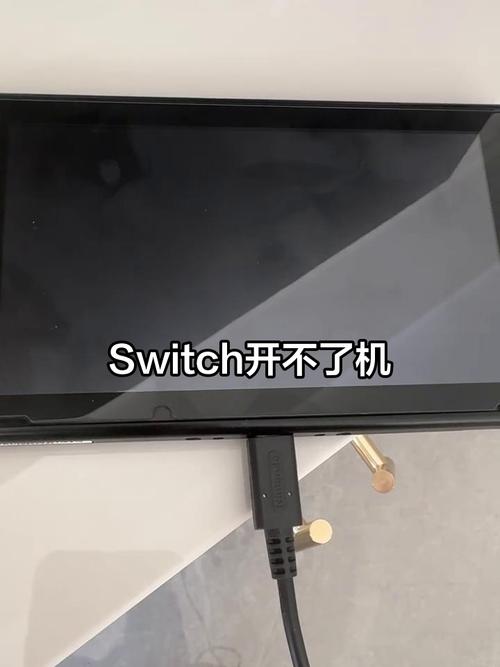 swich没电后充电打不开图标