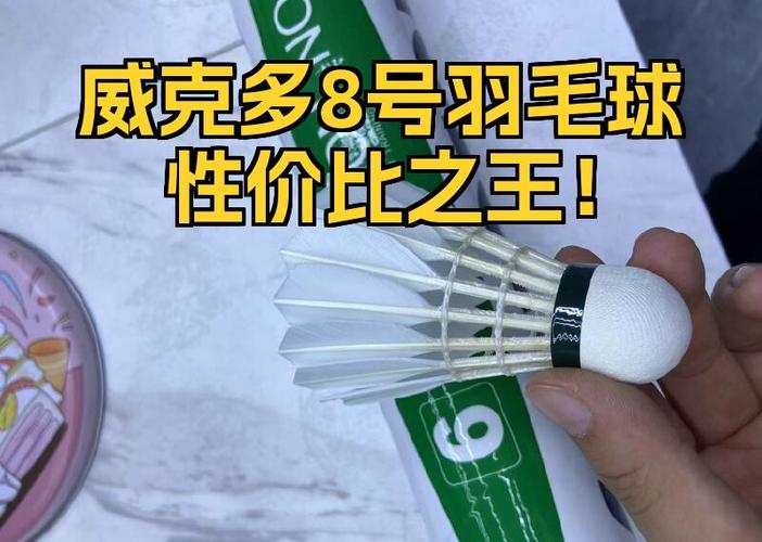 羽毛球一般买几号球