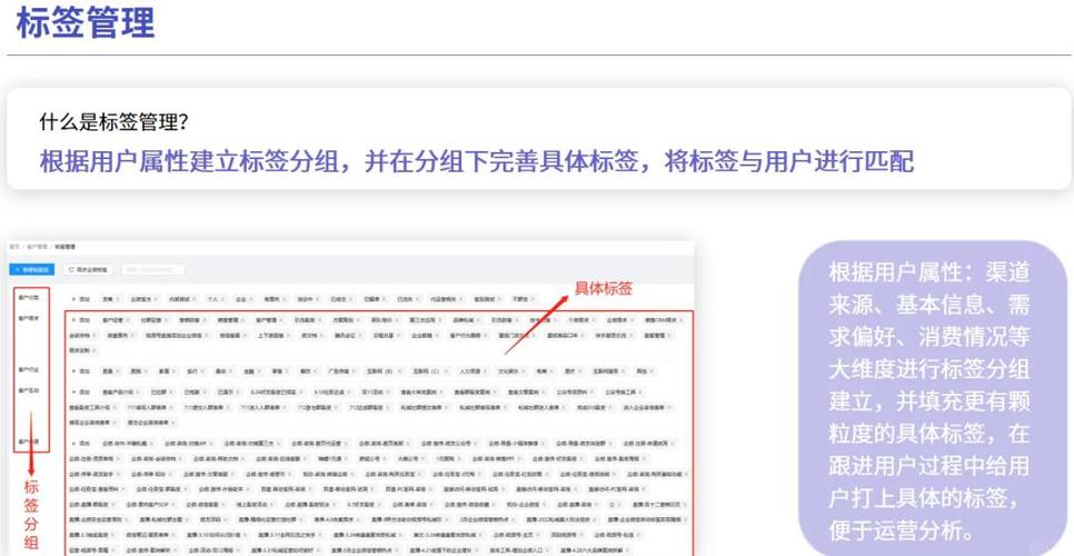 《我绑定了标签系统》