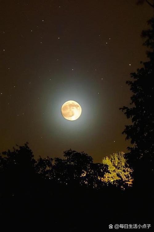 古老的夜晚图标