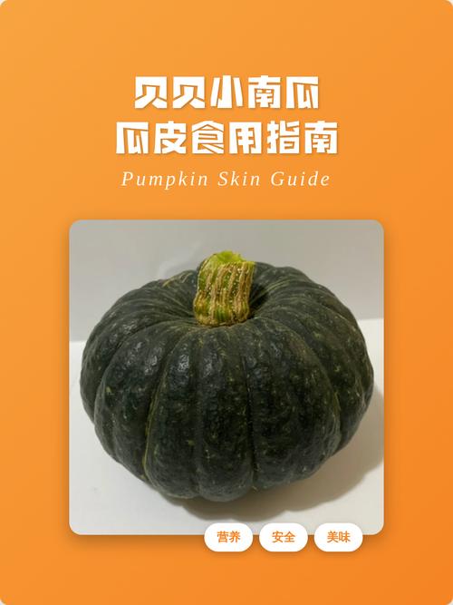 瓜皮攻略截图