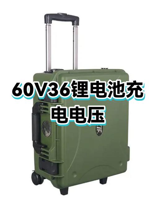 60v锂电池电压是多少游戏截图