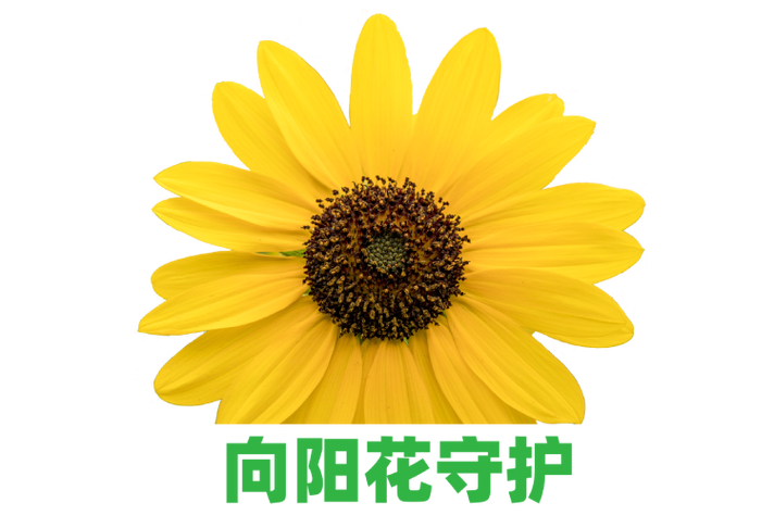向阳花守护怎么强制解除