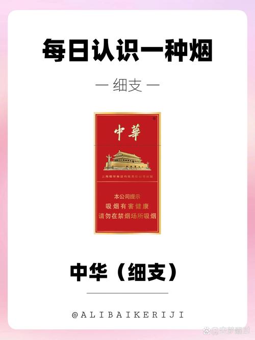 中华精英97658图标