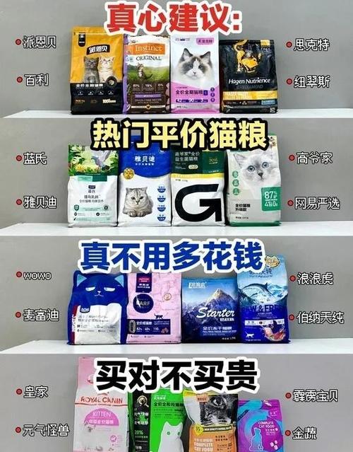 养猫喂饭和喂猫粮的区别图标