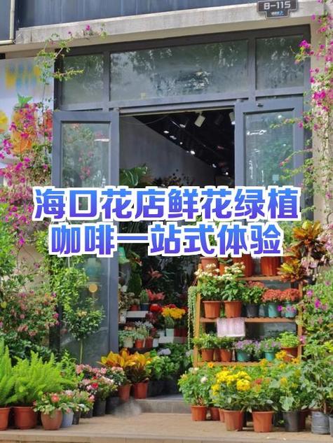 海口花店一条街在哪里图标